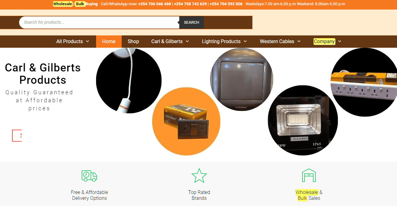 Top 10 Kenya Electrical Switch Socket Companies - UYEE丨LZZS Electric